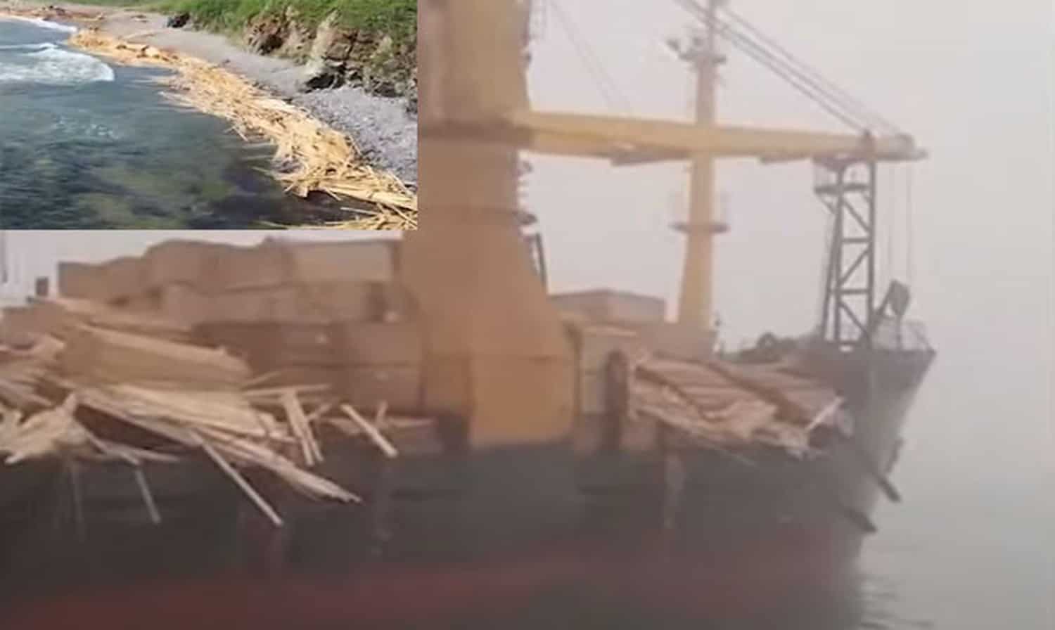 VIDEO: Tone drvene građe ispale s teretnog broda i blokirale luku - Pomorac